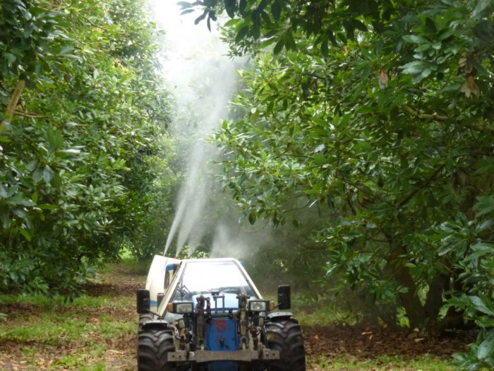 Photo Gallery - ROSL